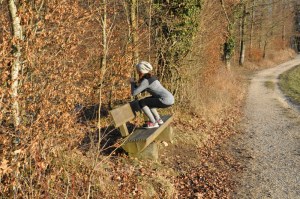 Outdoor bench workout