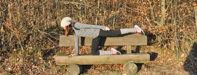 Outdoor bench workout